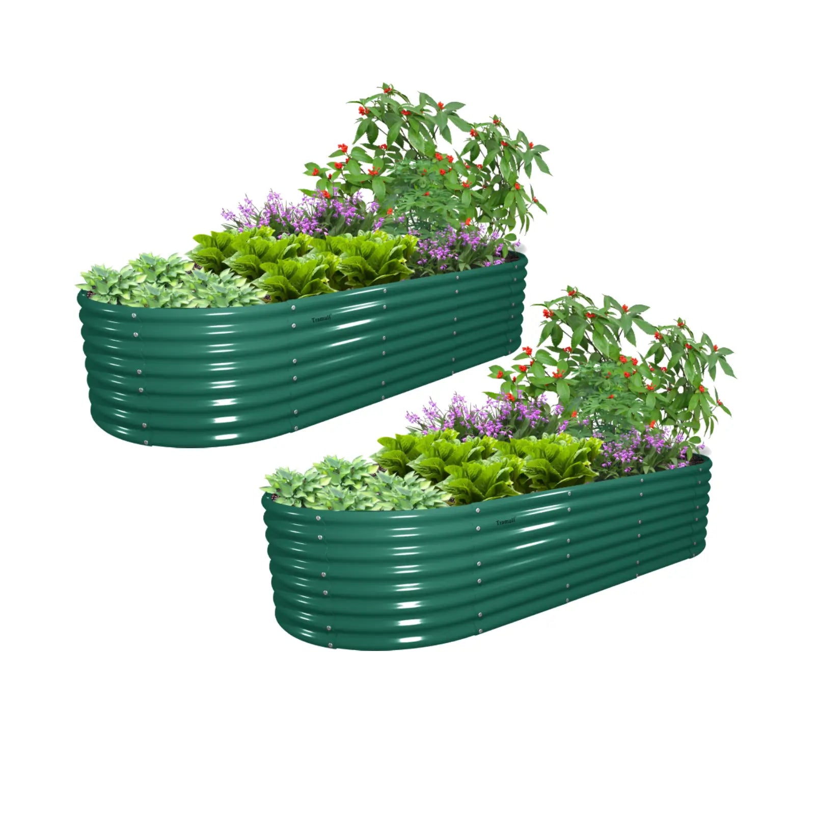 Bundle of 2 | 24" Tall 8x3ft Oval Metal Raised Garden Beds – Tramull ...